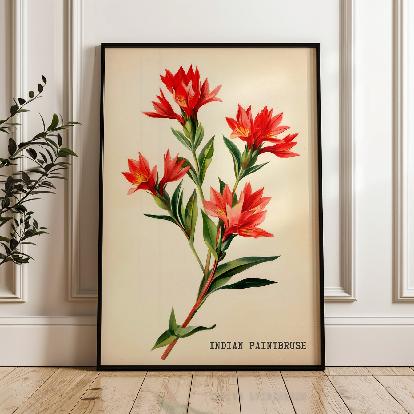 Indian Paintbrush Texas Wildflower French Market Seed Packet Art Print ...